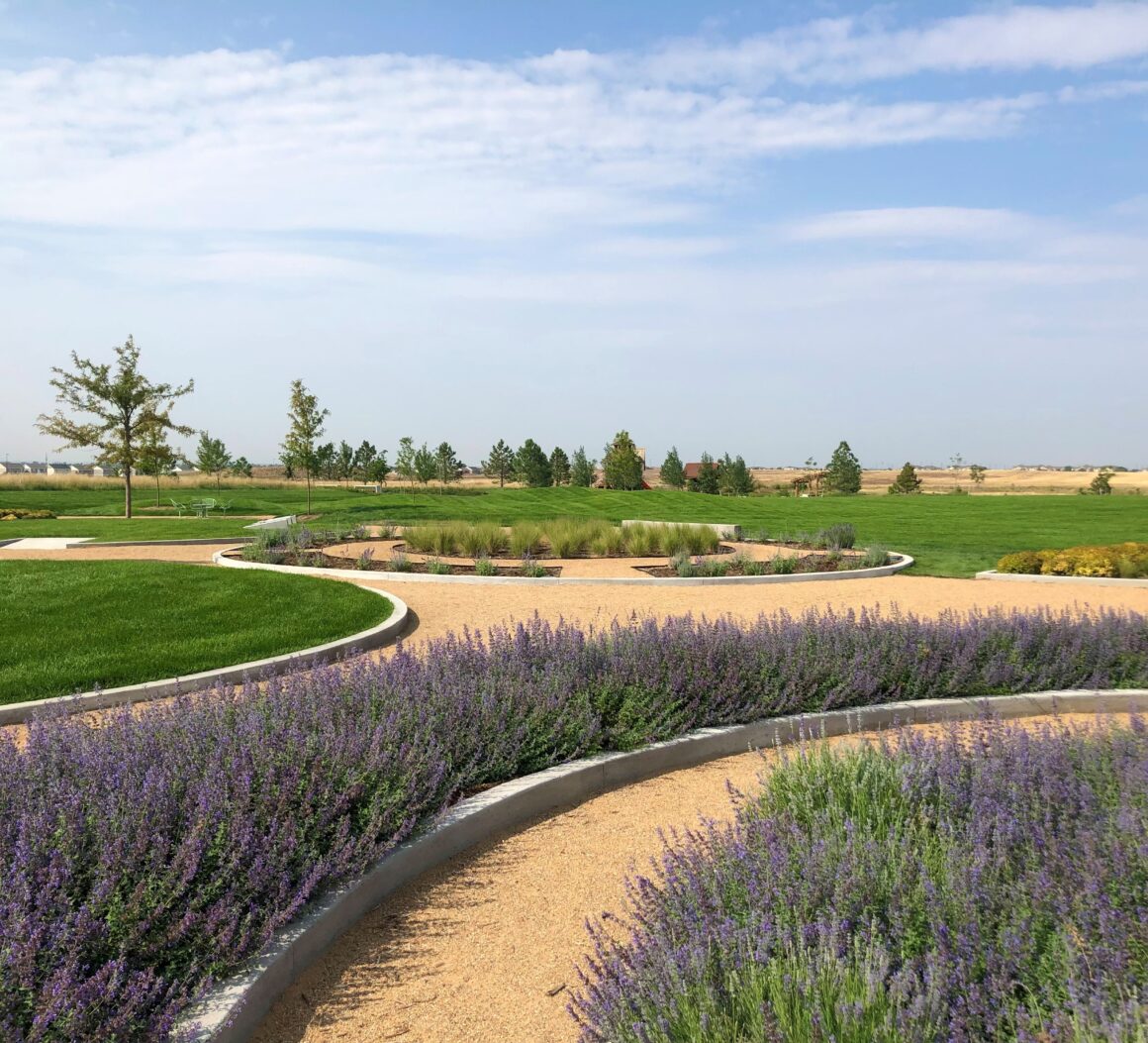 Painted Prairie - Civitas